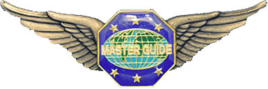 1½" MASTER GUIDE 6 STAR EAGLES WINGS PIN - Pathfinder Shirts